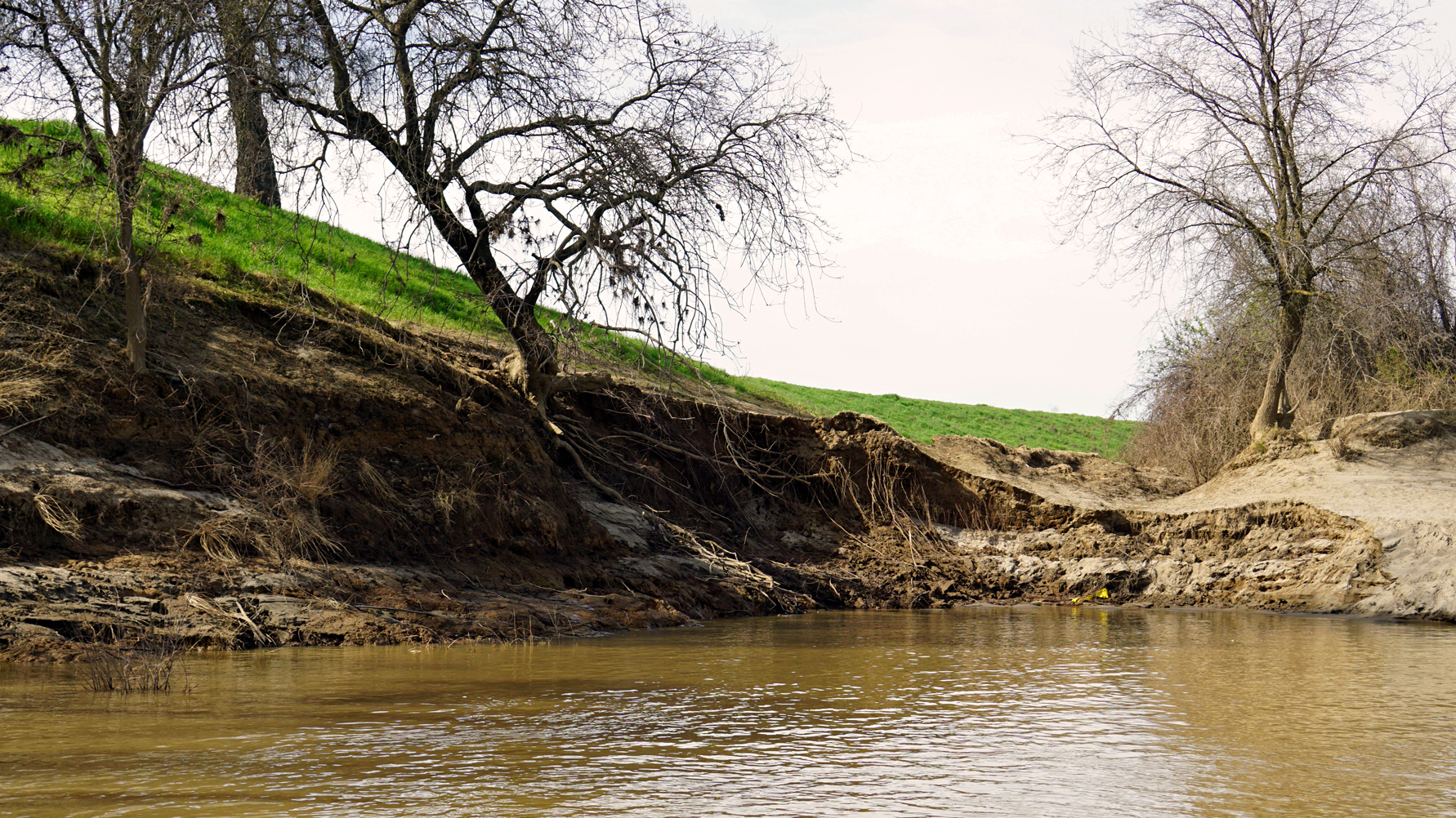 Levee River