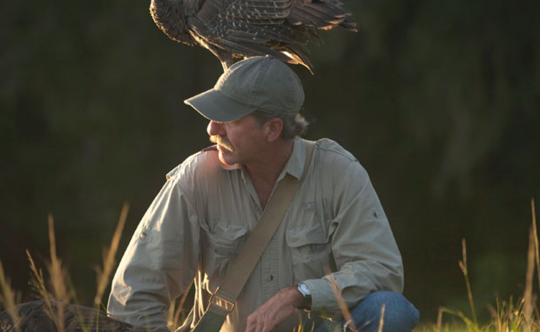 NATURE: My Life As A Turkey | KPBS Public Media