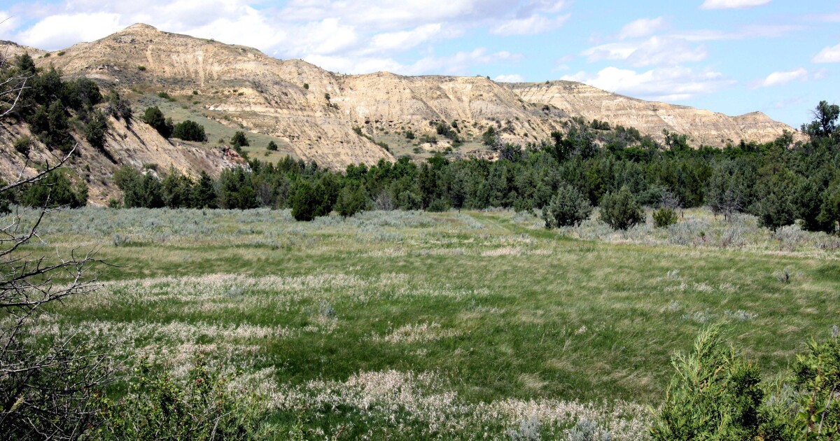 Roosevelt's Badlands Ranch Faces Potential Threat | KPBS Public Media