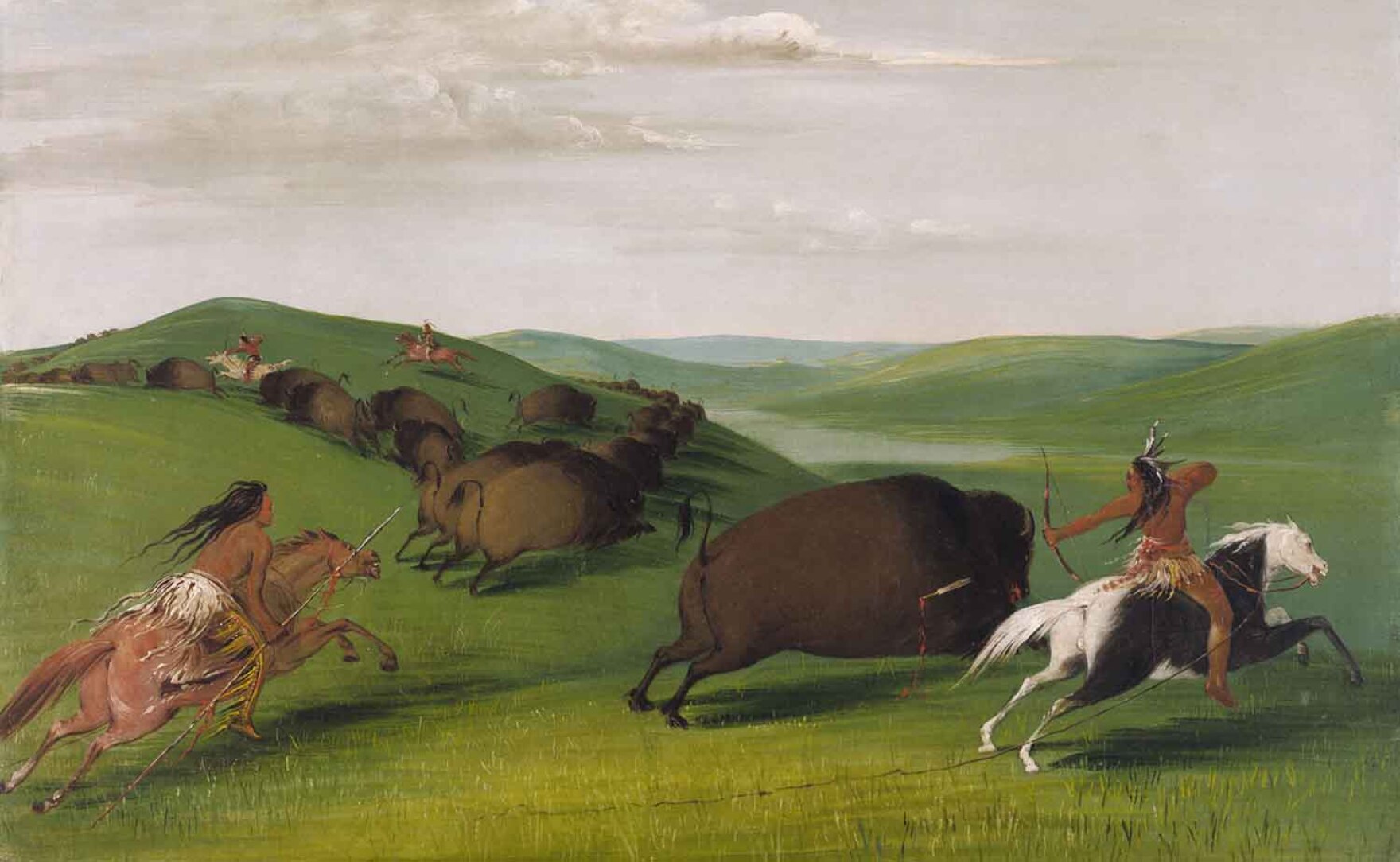 THE AMERICAN BUFFALO | KPBS Public Media