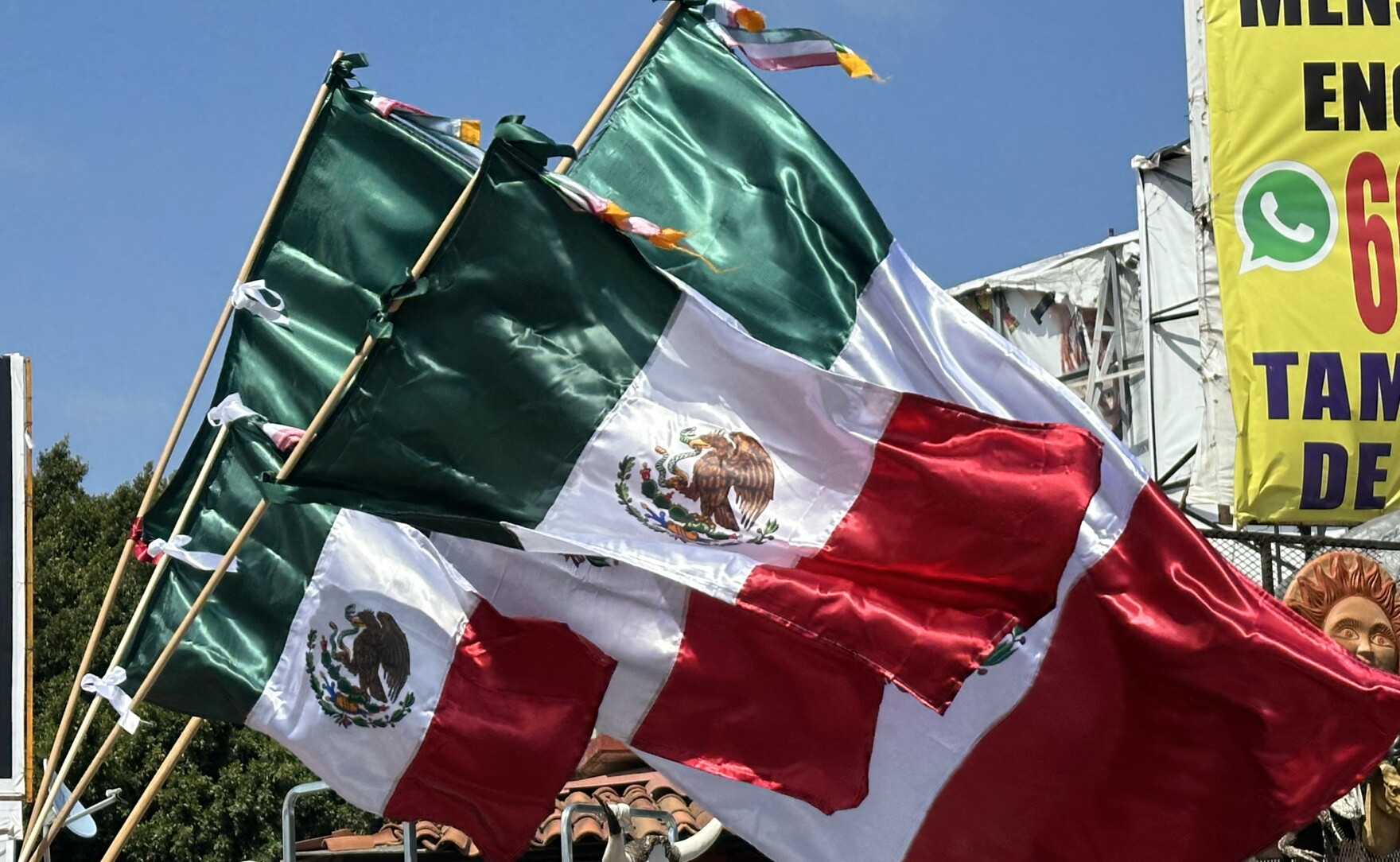What questions do you have about the upcoming historic Mexican election ...
