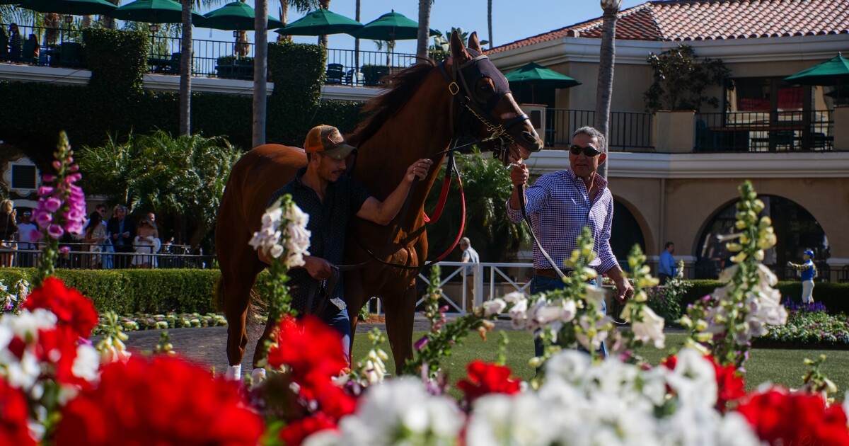 Del Mar racing season begins Saturday with event-filled Opening Day ...