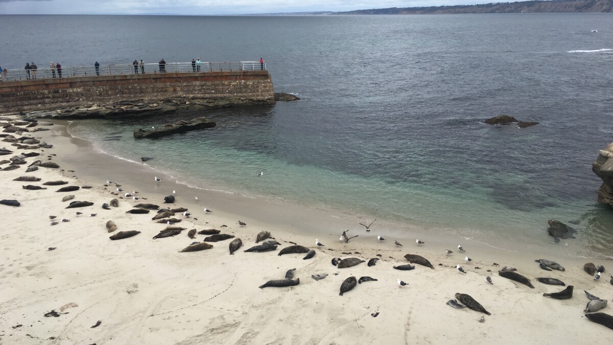 children's pool beach