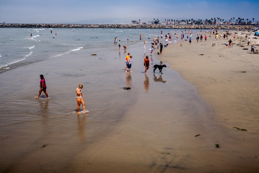 Volunteers collect nearly 3,000 pounds of trash from region's beaches | KPBS Public Media