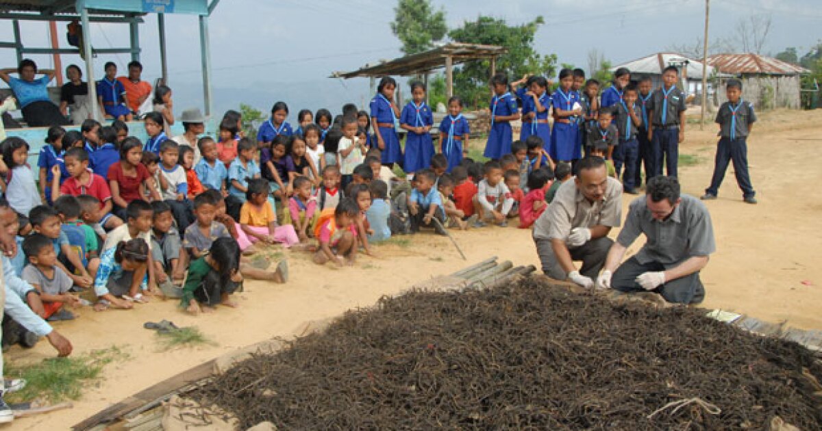 NOVA: Rat Attack | KPBS Public Media