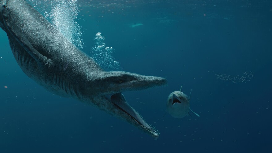 NATURE: Attenborough and the Jurassic Sea Monster | KPBS Public Media
