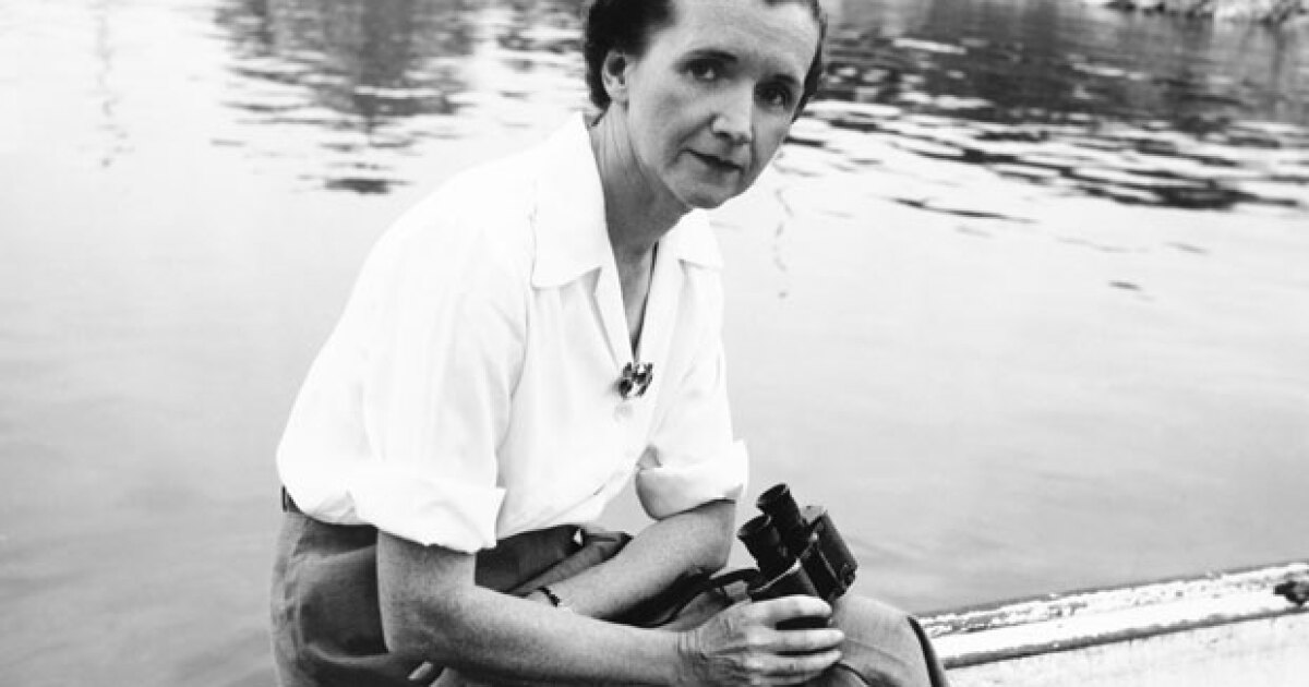 AMERICAN EXPERIENCE: Rachel Carson | KPBS Public Media