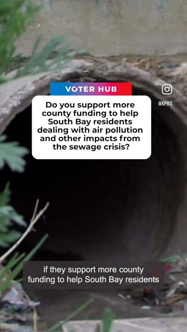 Special Primary Election 2025: The race for San Diego County District 1 Supervisor | KPBS Public ...