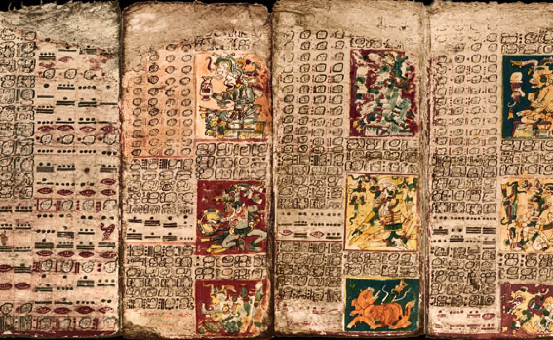 NOVA: Cracking The Maya Code | KPBS Public Media