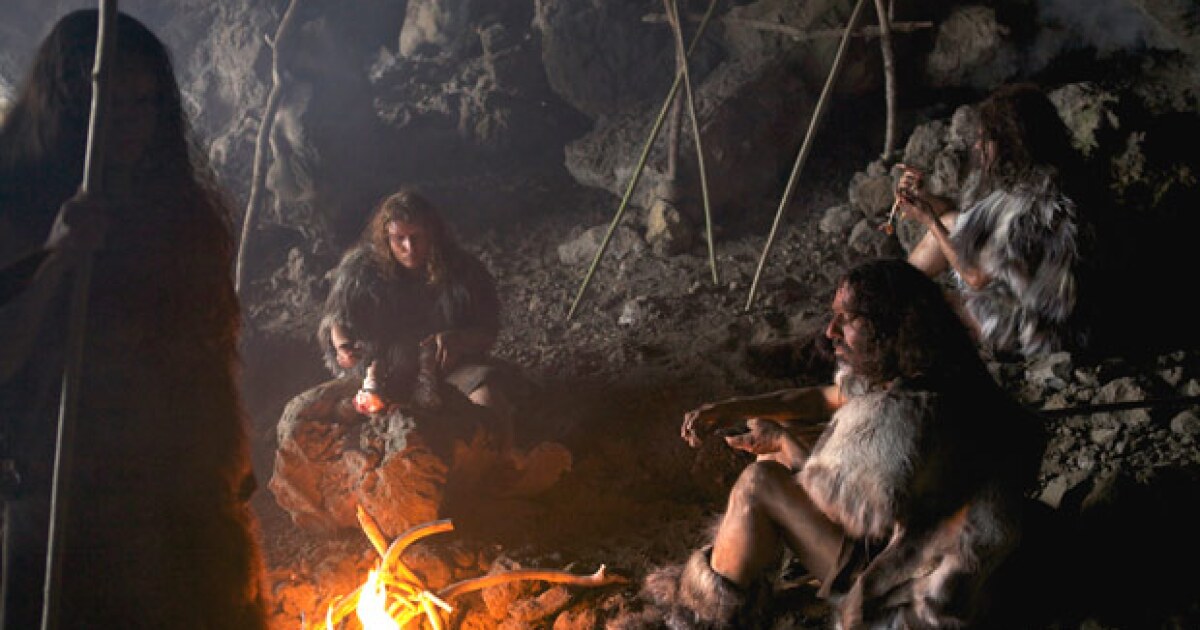 NOVA: Decoding Neanderthals | KPBS Public Media