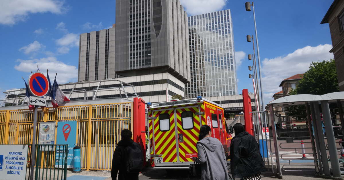 French hantavirus patient is critically ill as outbreak grows to 11 ...