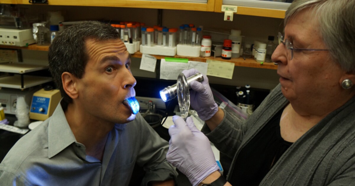NOVA scienceNOW: Can I Eat That? | KPBS Public Media