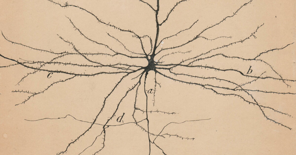 Art Exhibition Celebrates Drawings By The Founder Of Modern ...