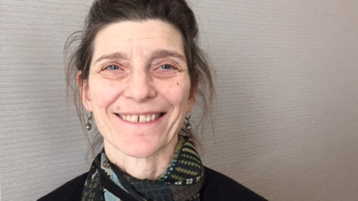 elena ferrante schuber