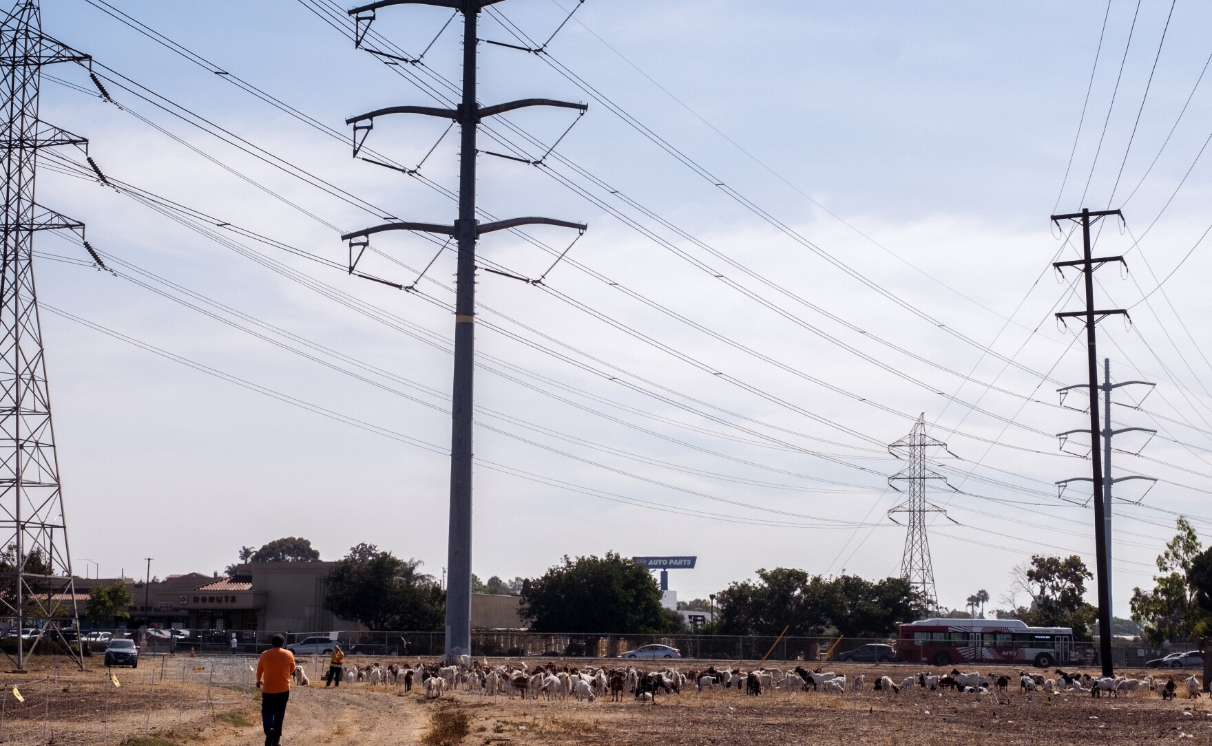 Energy emergency alert raised for second day, residents urged to curb ...