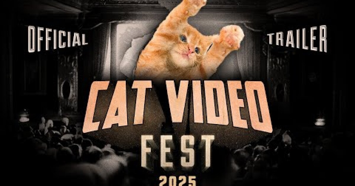 CatVideoFest 2025 - Official Trailer - Oscilloscope Laboratories HD | KPBS Public Media