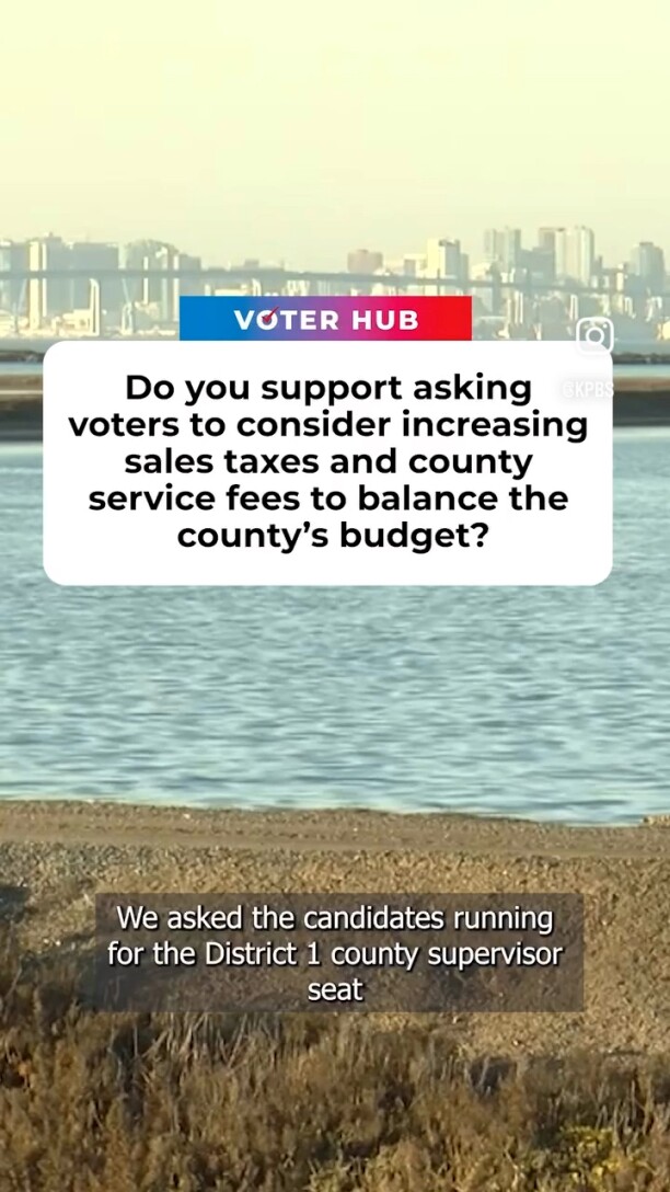 Special Primary Election 2025: The race for San Diego County District 1 Supervisor | KPBS Public ...