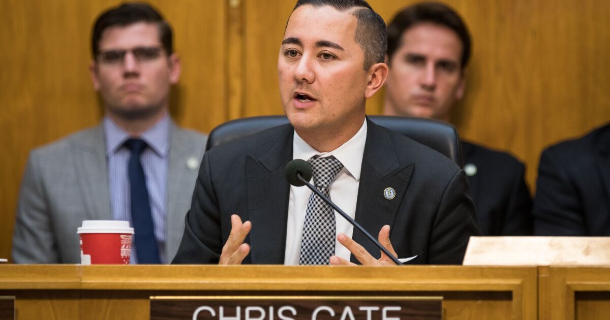 Chris Cate to lead San Diego Regional Chamber of Commerce | KPBS Public ...