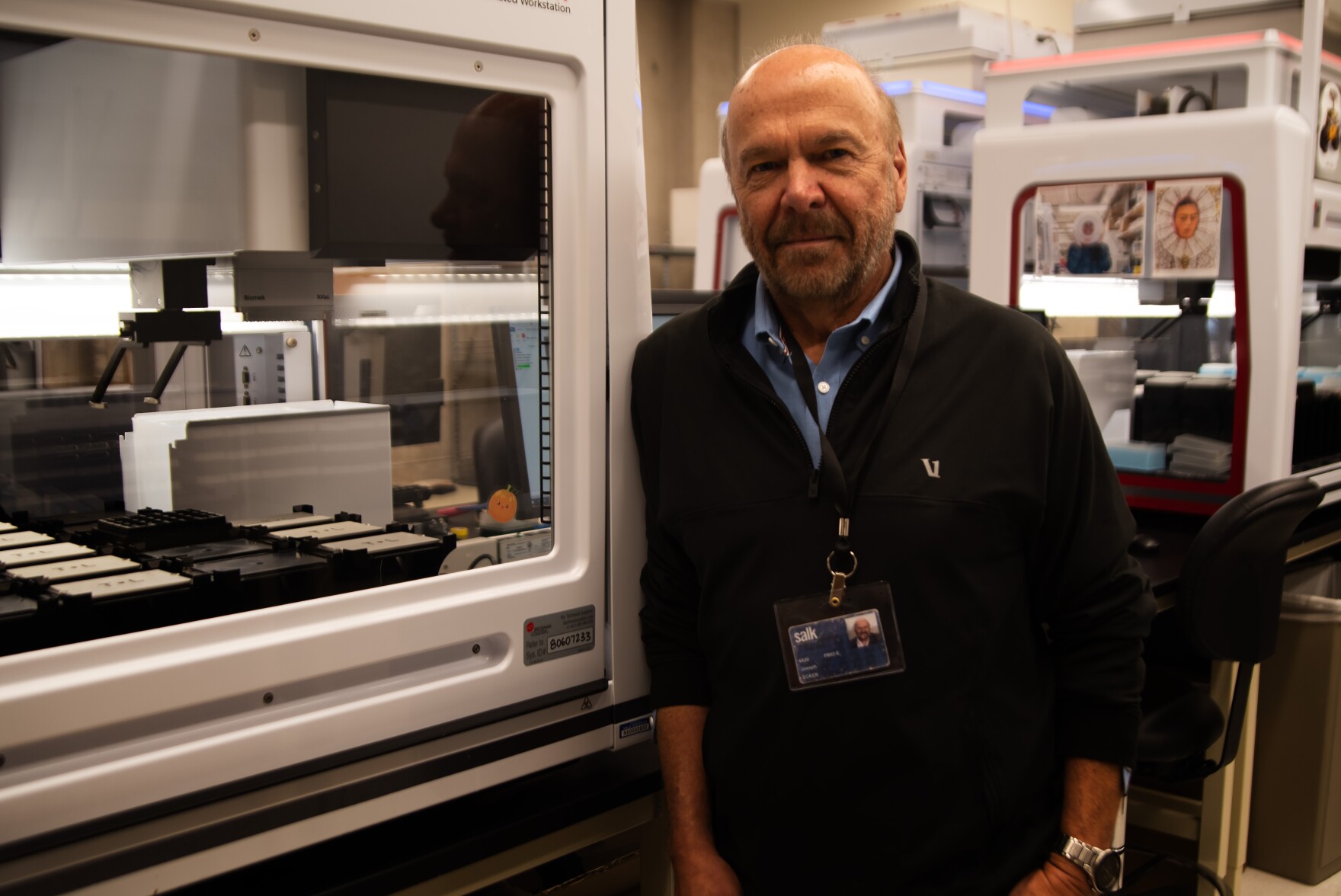 Scientists discover the genetic steps that created hardy, productive ...